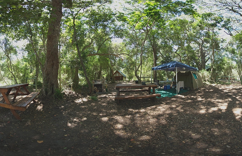 SANPARKS - Nature's Valley Rest Camp