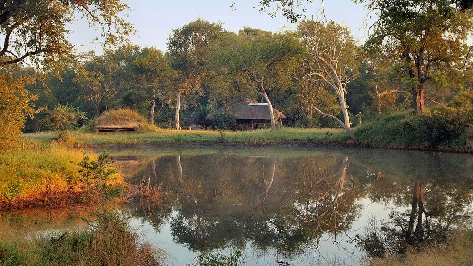 Idube Game Lodge - safari lodge in Sabi Sands Game Reserve