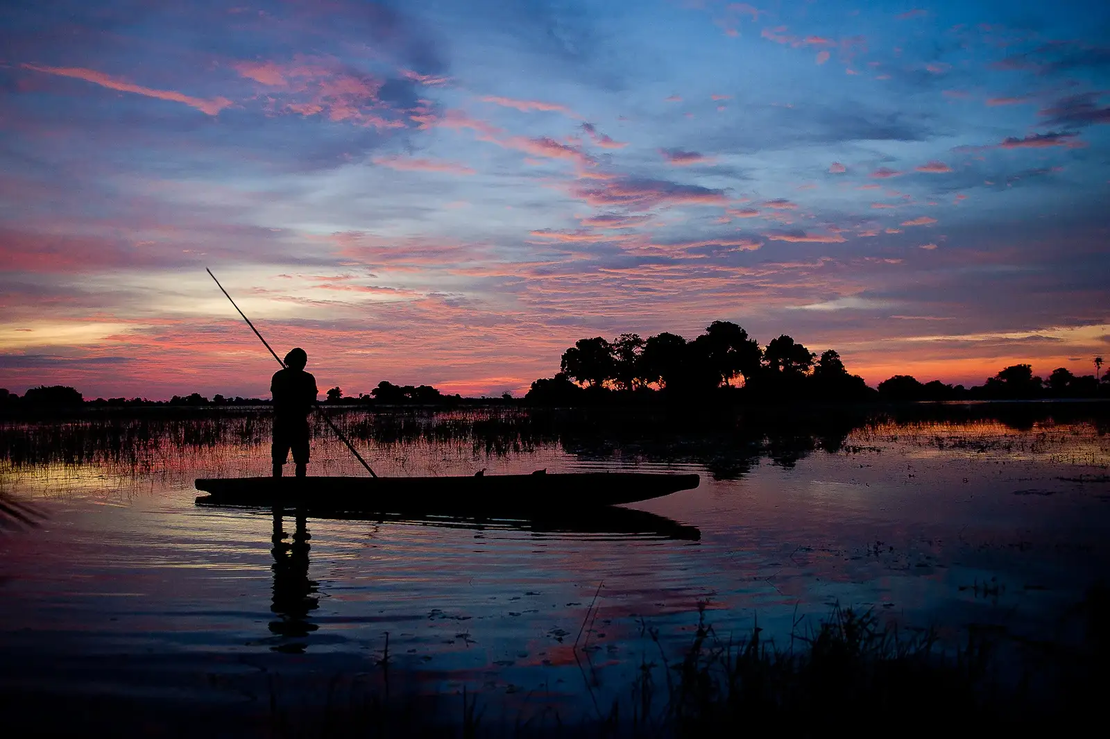 Tubu Tree Camp - safari lodge in Okavango Delta