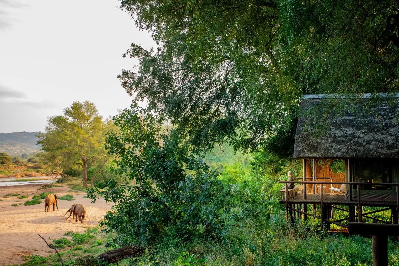 Pafuri Tented Camp - safari lodge in Kruger National Park