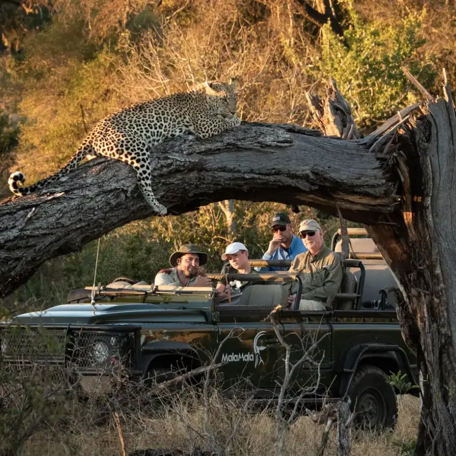 African Safari articles - The Best Safaris in October/November (Part 2)