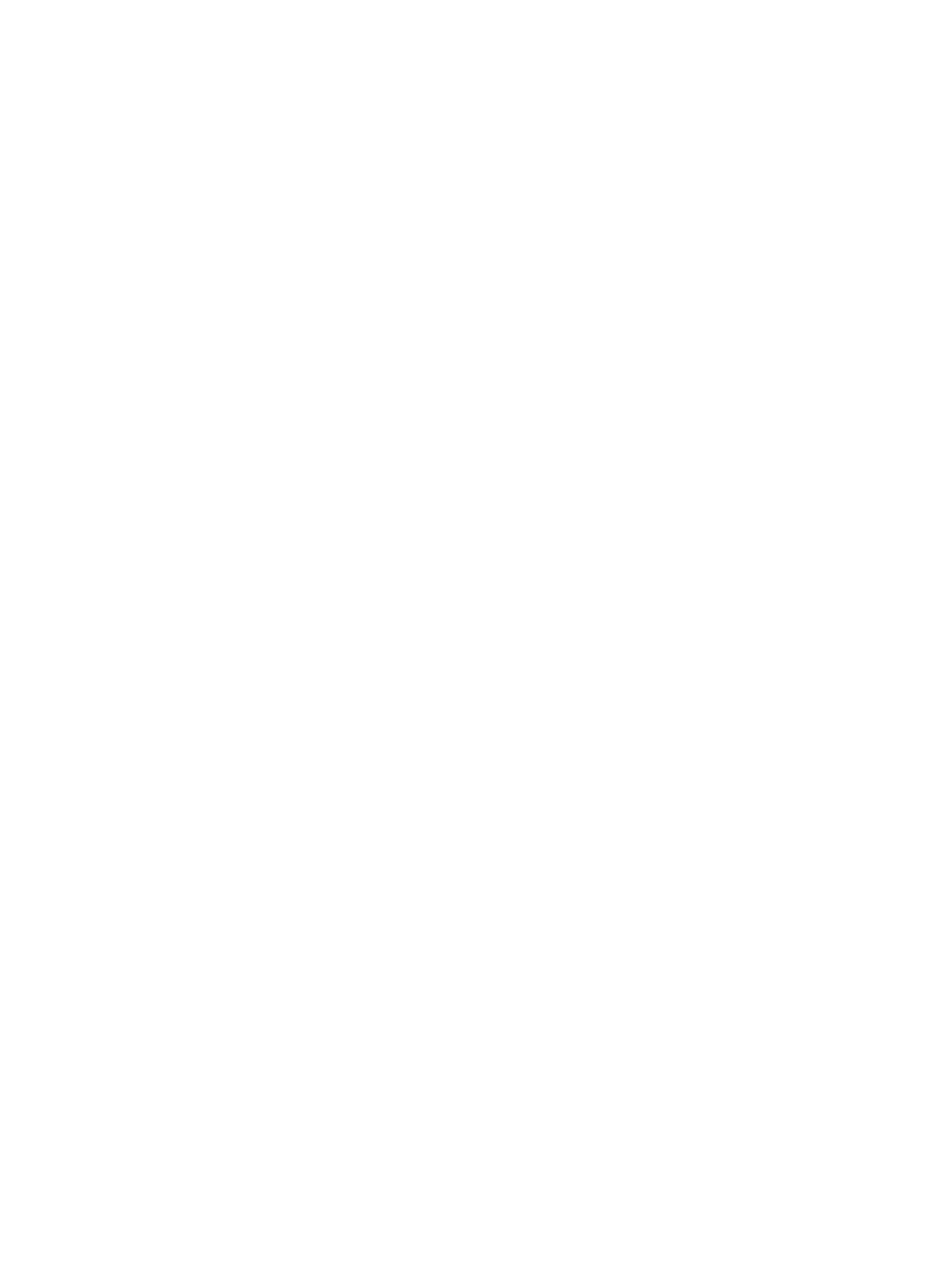 FJ Labs