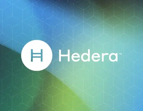 How to Add Hedera to MetaMask