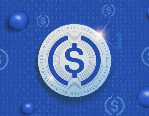 什么是USDC？| 监管、储备、风险及其他 (2023)