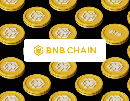 How to Add BNB Chain to MetaMask