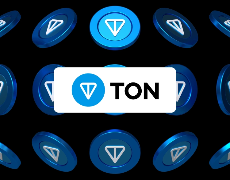 How to Add The Open Network (TON) to MetaMask