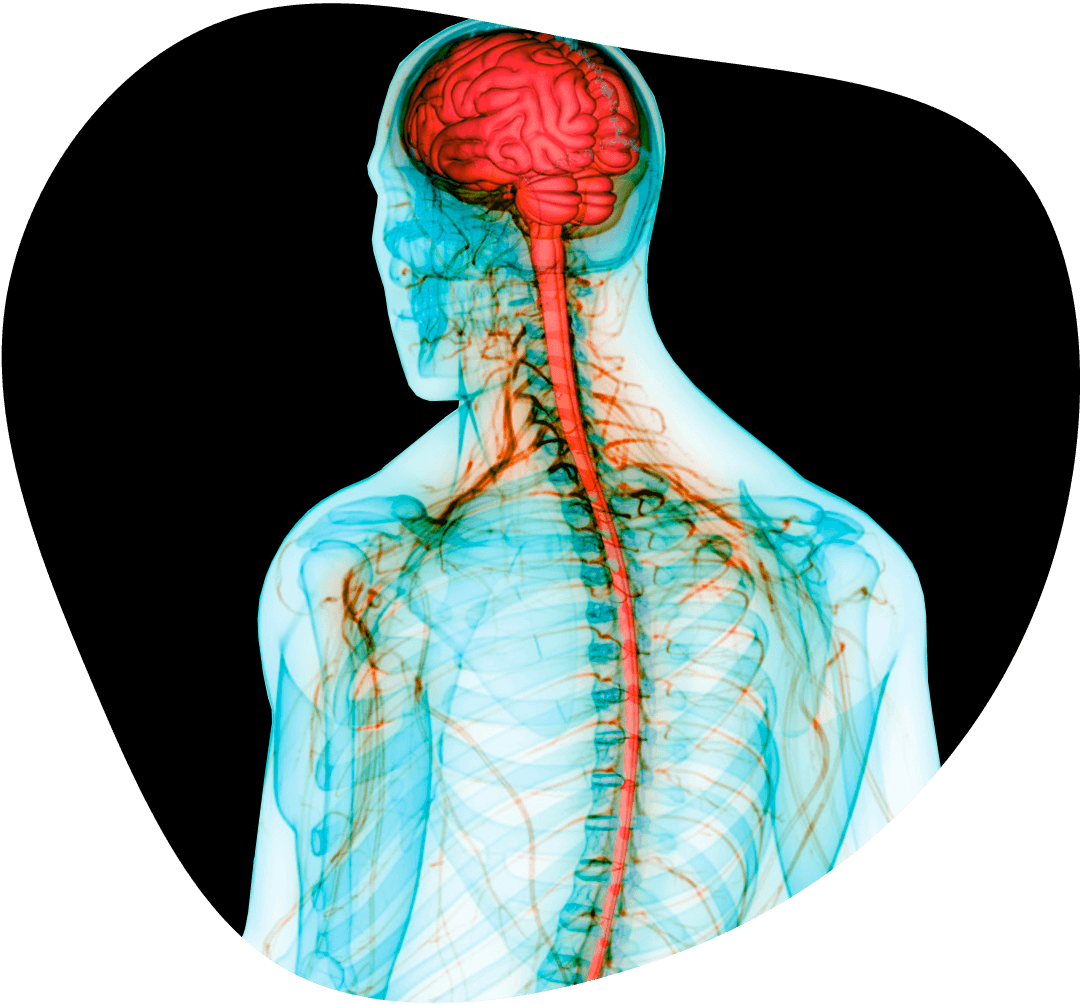 CNS Clinical Trials | ObvioHealth