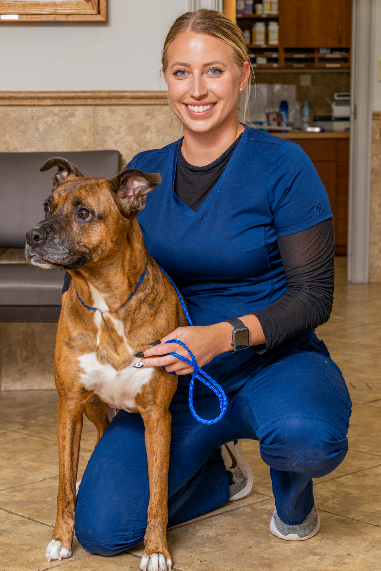 High-Quality Vet Hospital in Alpharetta, GA | Alpharetta Animal Hospital