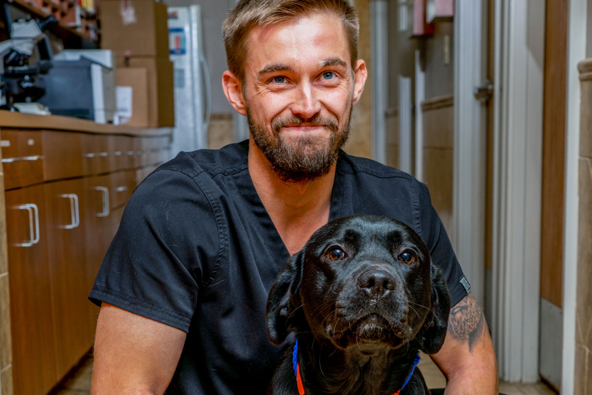 High-Quality Vet Hospital in Alpharetta, GA | Alpharetta Animal Hospital
