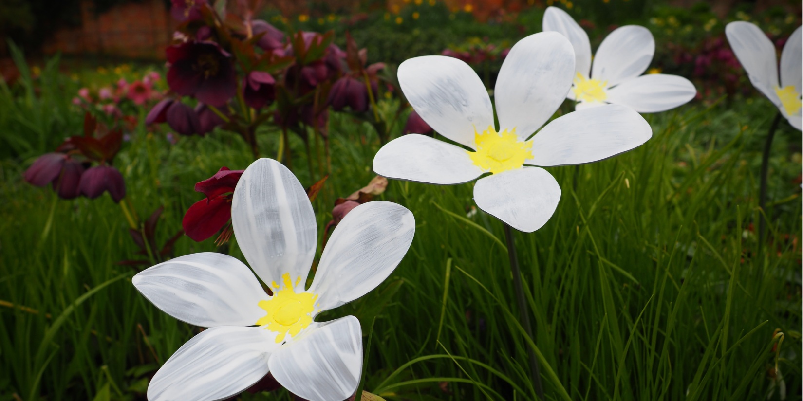 Celebrate 40 years of our hospice and dedicate an anniversary jasmine ...