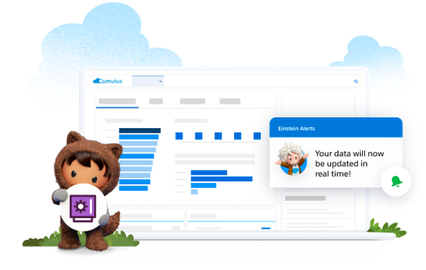 Vault Core and Salesforce Financial Services Cloud Integration