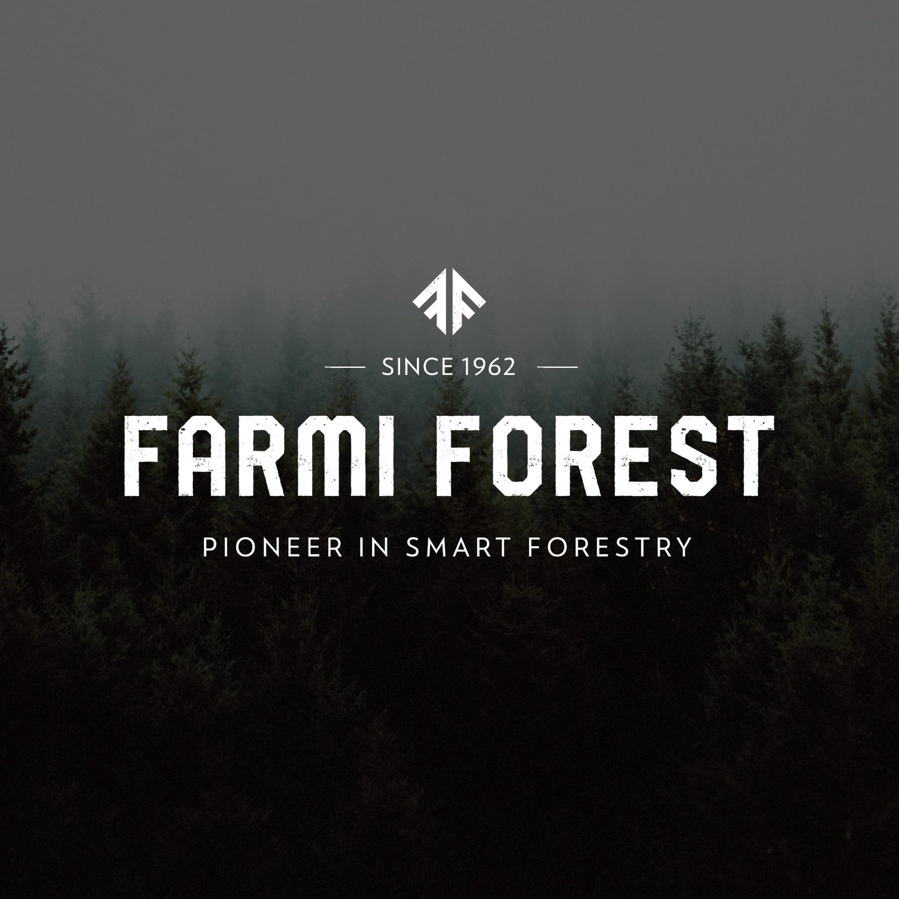 Etusivu- Farmi Forest