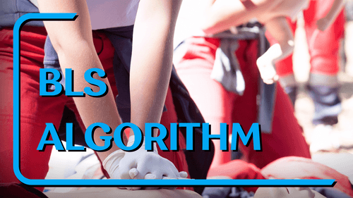 BLS Algorithm: Your Guide to Basic Life Support Steps