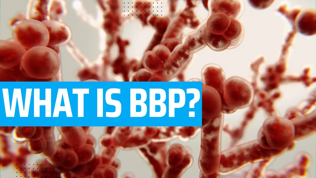 What is BBP: Defining Bloodborne Pathogens