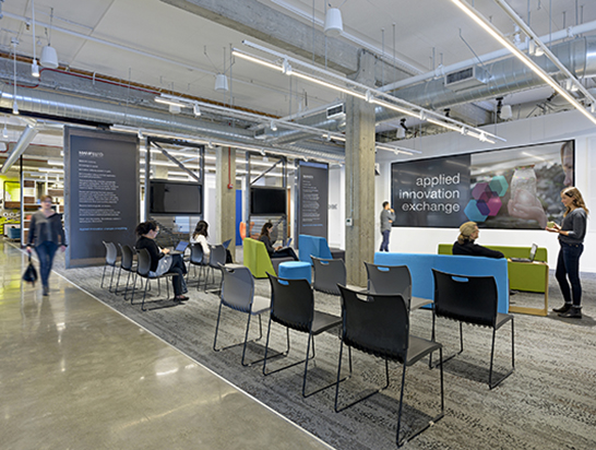 Four Key Executive Briefing Center Audiovisual Strategies