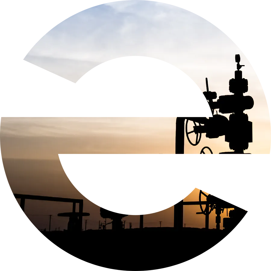 Well Examination, Verification & Audit