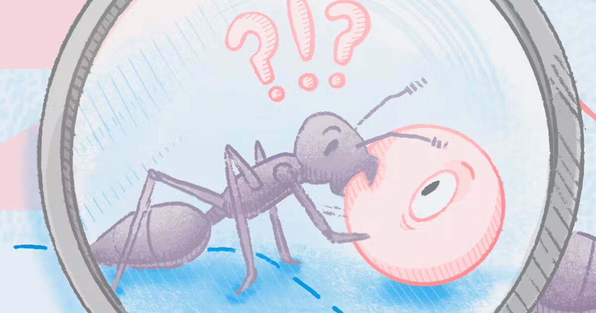 A Fairly Thorough Guide to Understanding Velocity vs. Capacity ...