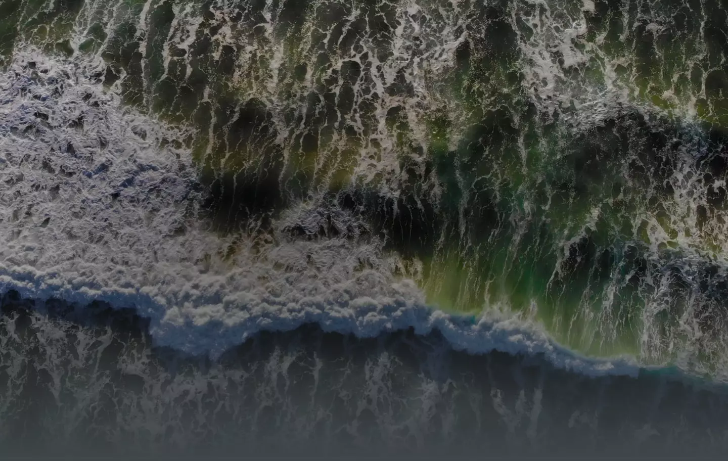 Supply Chain Risk Assessment | Jupiter