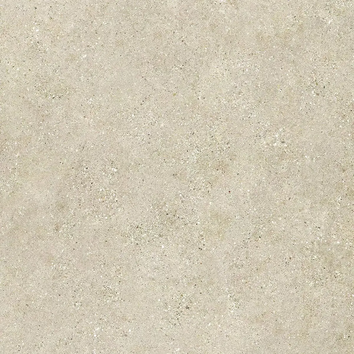 Neolith Shilin | A+ kwaliteit tegels | Pand16