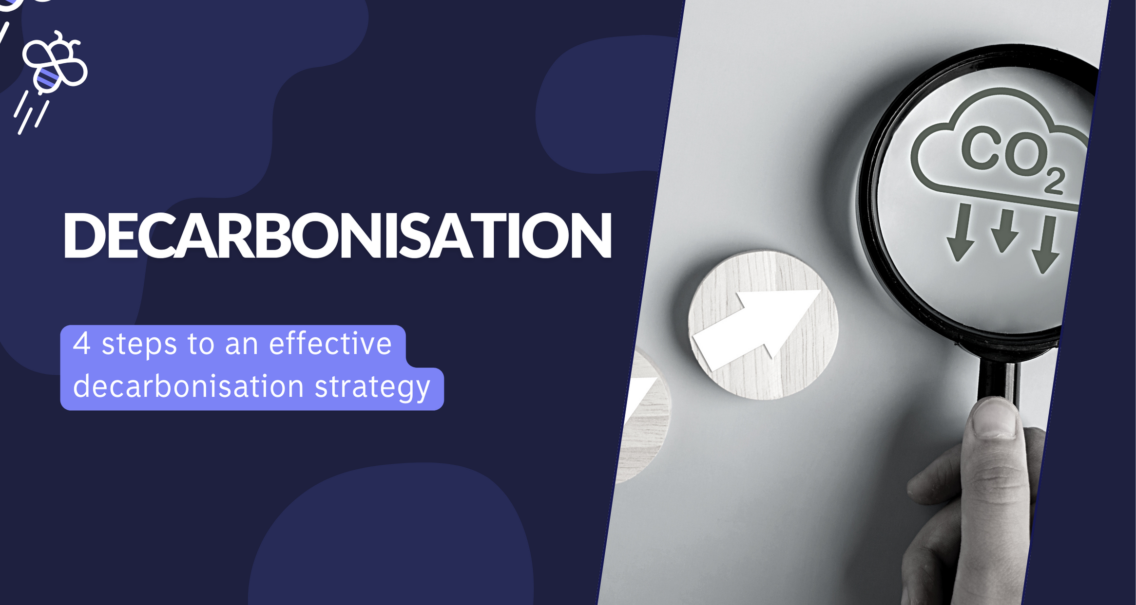 Decarbonisation strategy: 4 key steps to implement for businesses