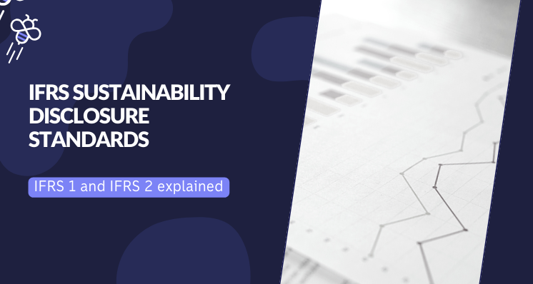 IFRS Sustainability Disclosure Standards explained