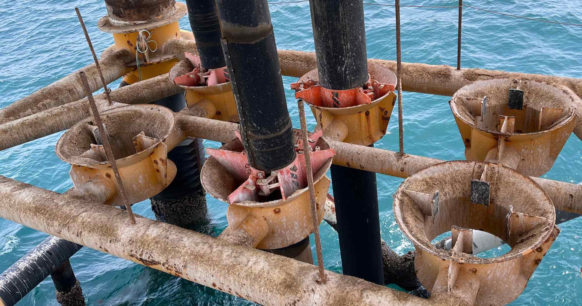 Five ways early wells input reduces decommissioning risk