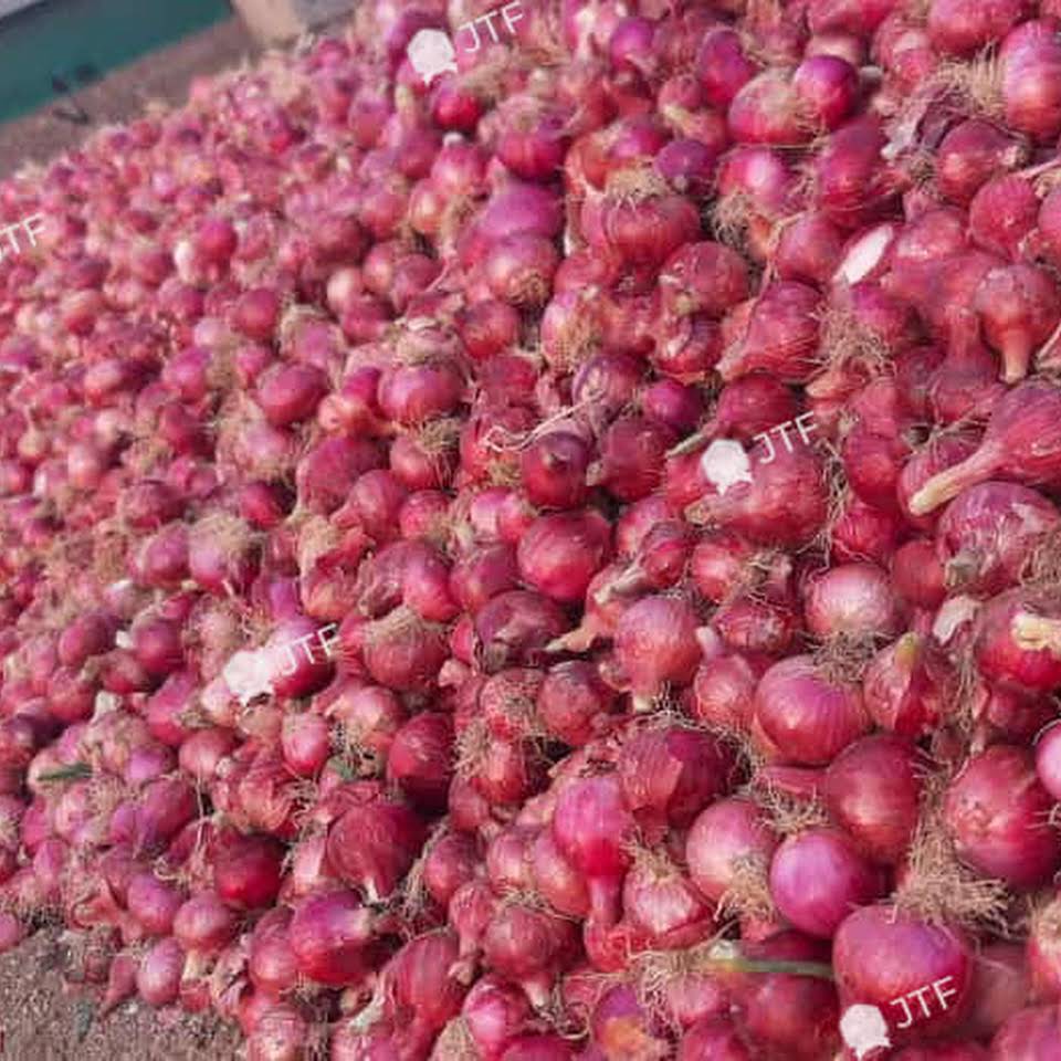 Home - Rahee Natural Seeds