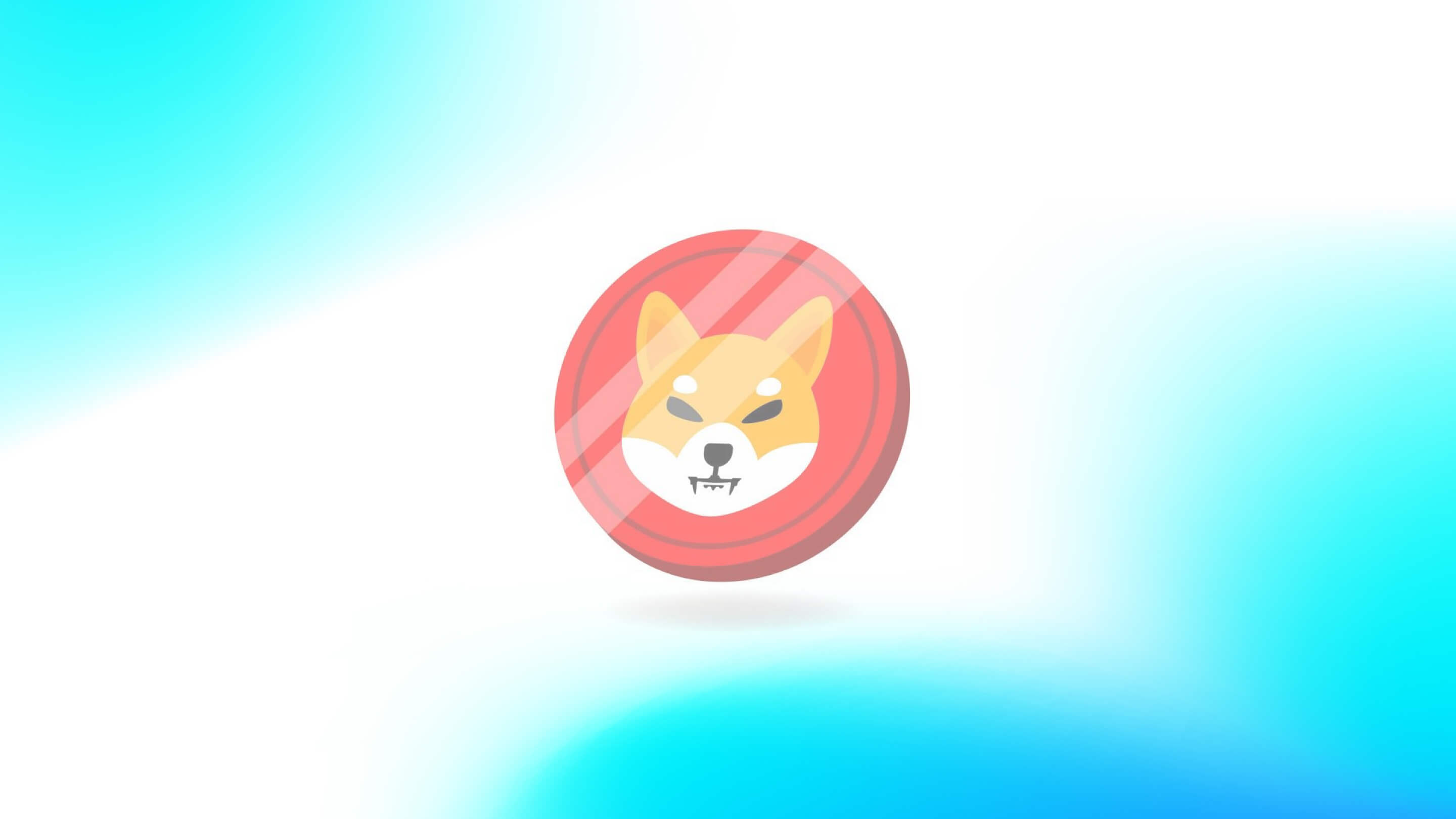 Who Accepts Shiba Inu as Payment: What Can I Buy With SHIB