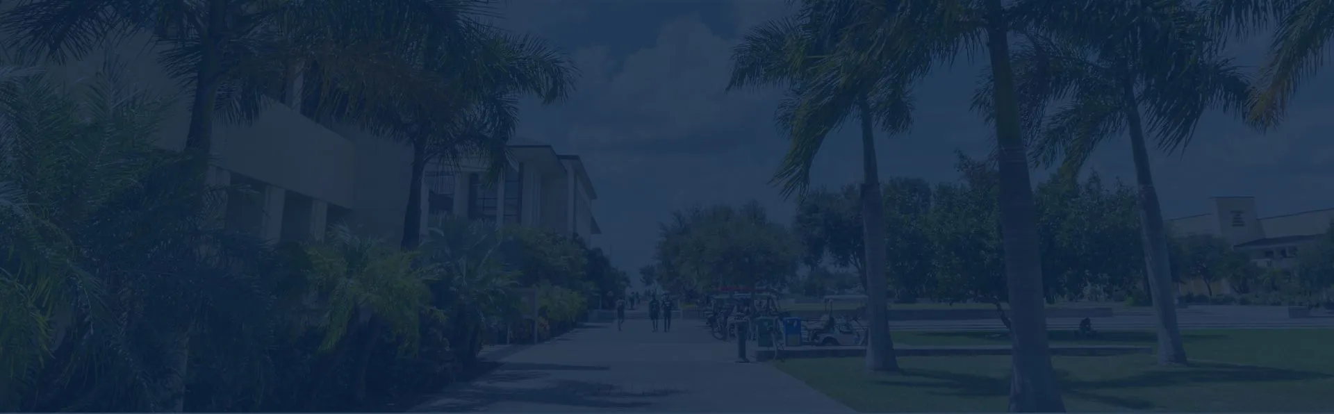 Donate | Canizaro Library | Ave Maria Catholic University