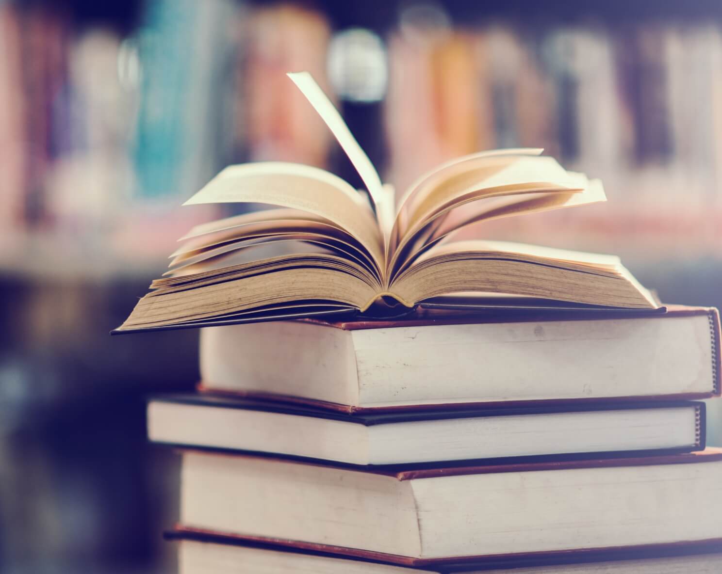 Canizaro Library | Ave Maria Catholic University