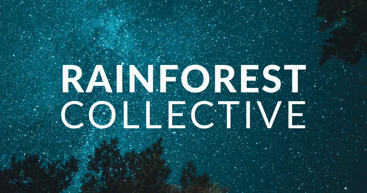 Rainforest Collective: A Bold New Paradigm for the Future of Rainforest ...