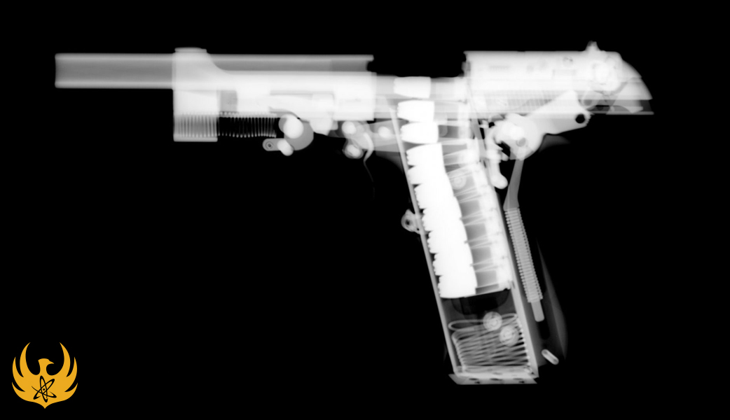 Phoenix Neutron Imaging | How Much Do You Know About N-Ray?