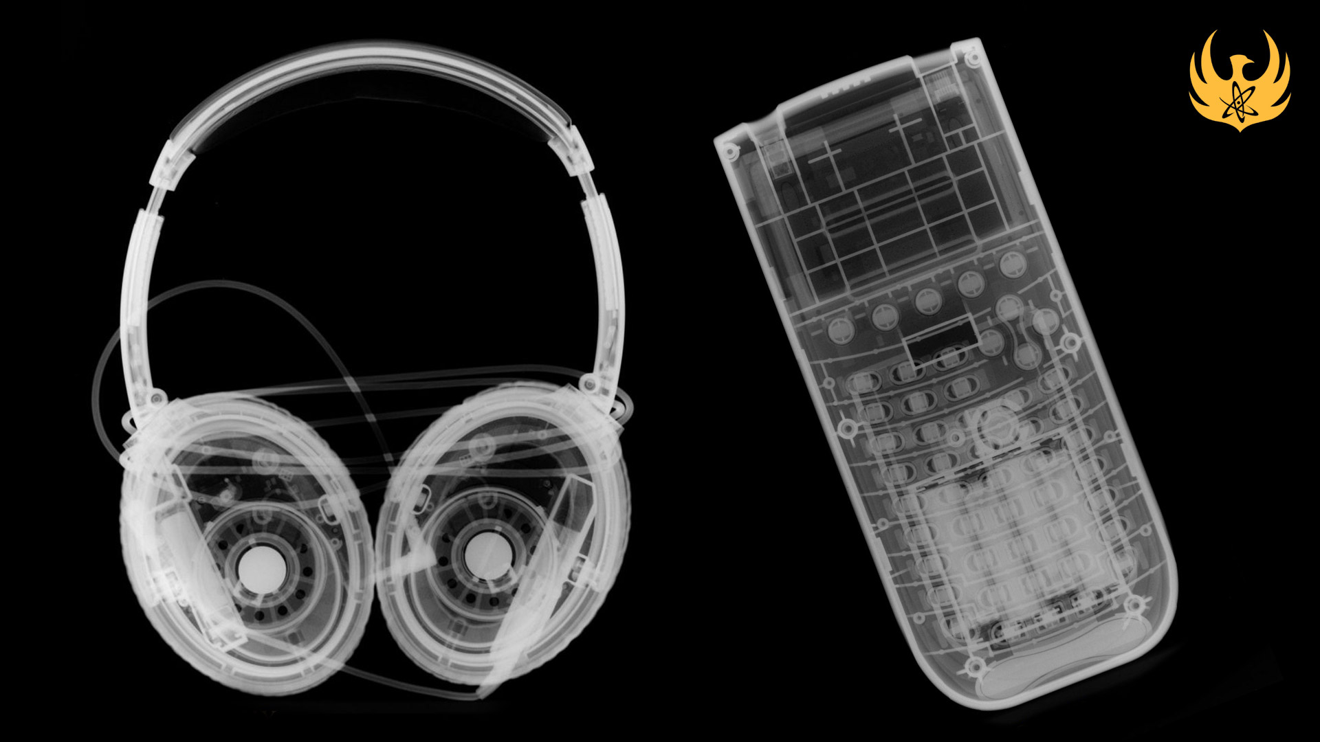 Phoenix Neutron Imaging | Diving Deep: Neutron Radiography & How It Works