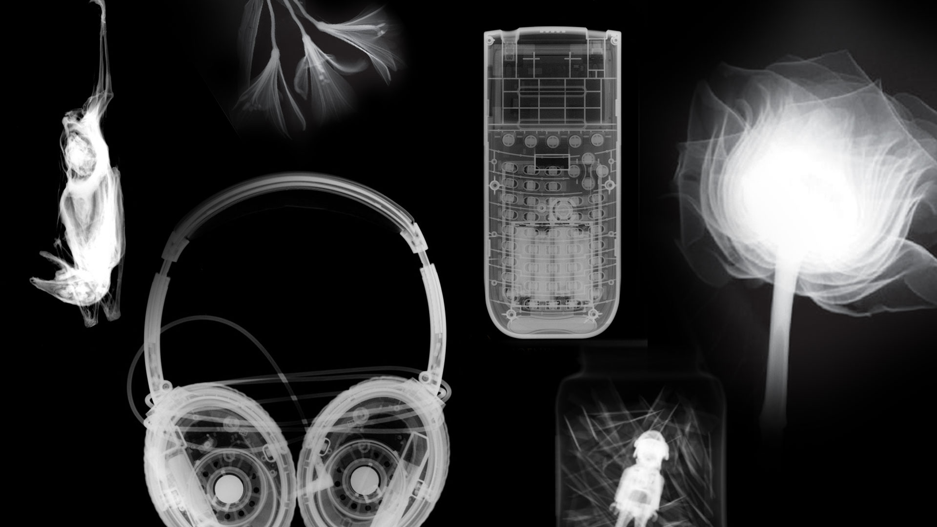 Phoenix Neutron Imaging | How Much Do You Know About N-Ray?