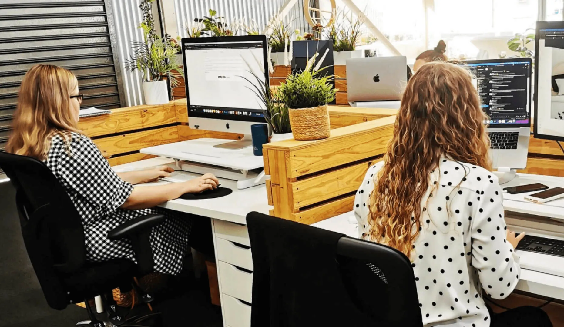 Experience Our Vibrant Culture at Talk Agency