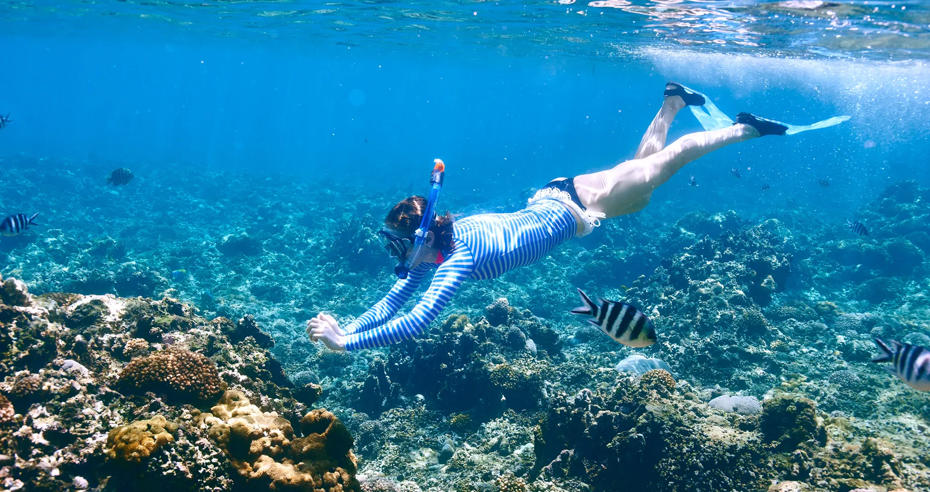 Discover Our Top 5 Snorkeling Spots in Florida