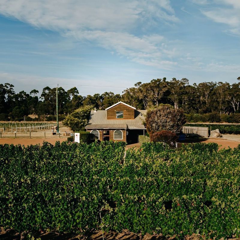 Pixie Wine Series: Stella Bella WineS, May 15, 2024 | Pixie Food & Wine