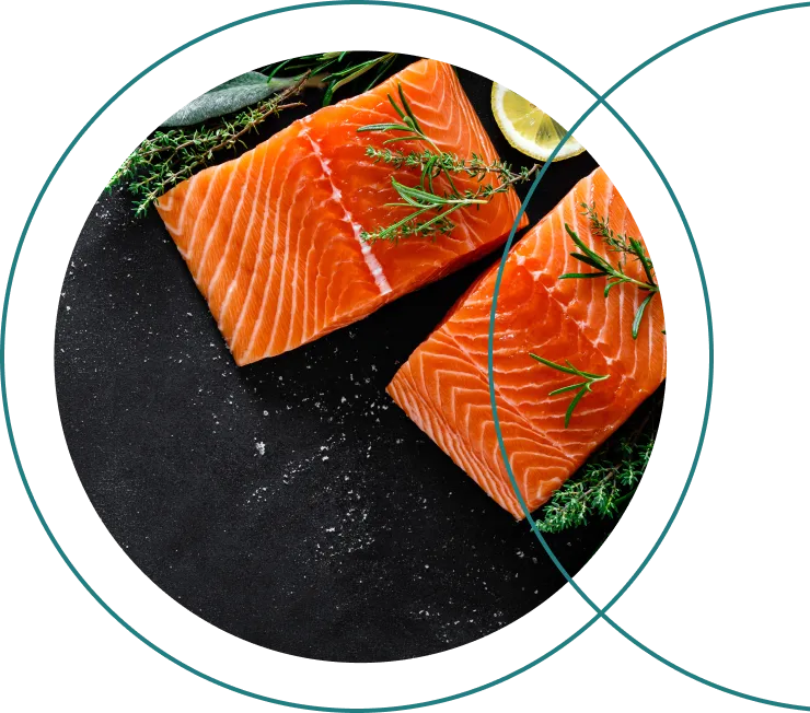 Land-based Farming of Salmon | GeoSalmo