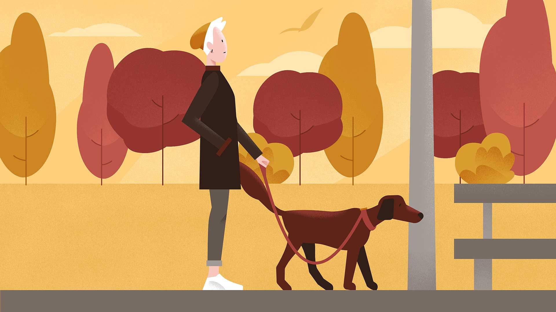 Ginger: Explainer Video - MezzoLab Animation