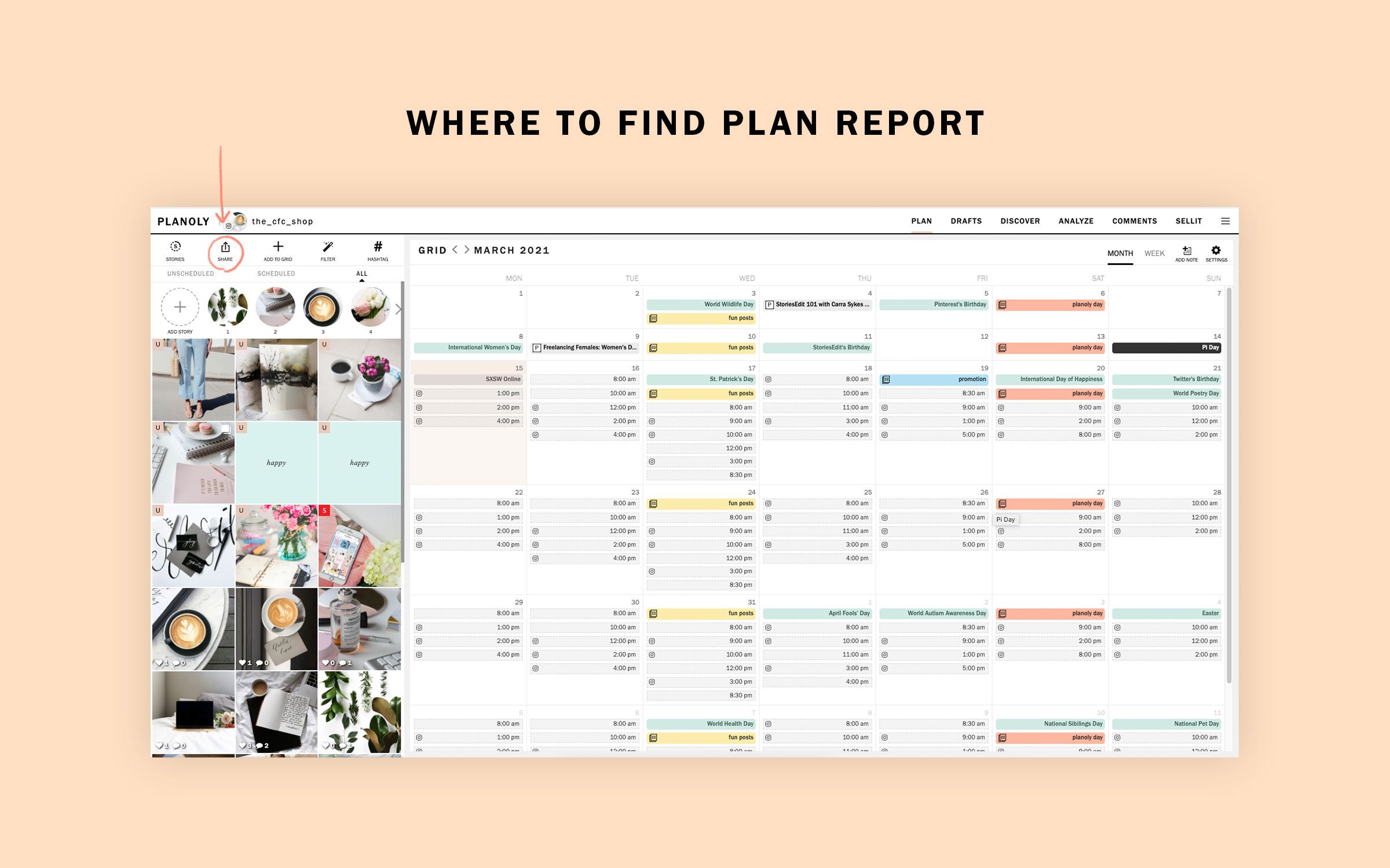 Using PLANOLY's Plan Report Tool for Instagram Content Approvals