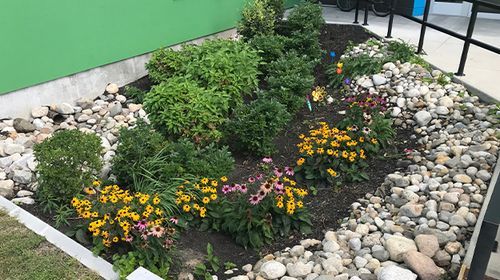 ACF West Products Biofiltration – StormGarden / Focalpoint