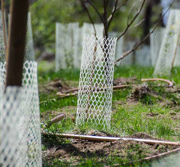 ACF West Products Plant Protection