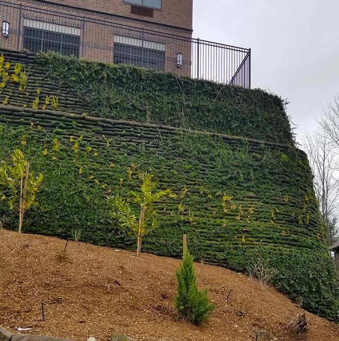 ACF West Products Flex MSE Vegetated Retaining Wall System