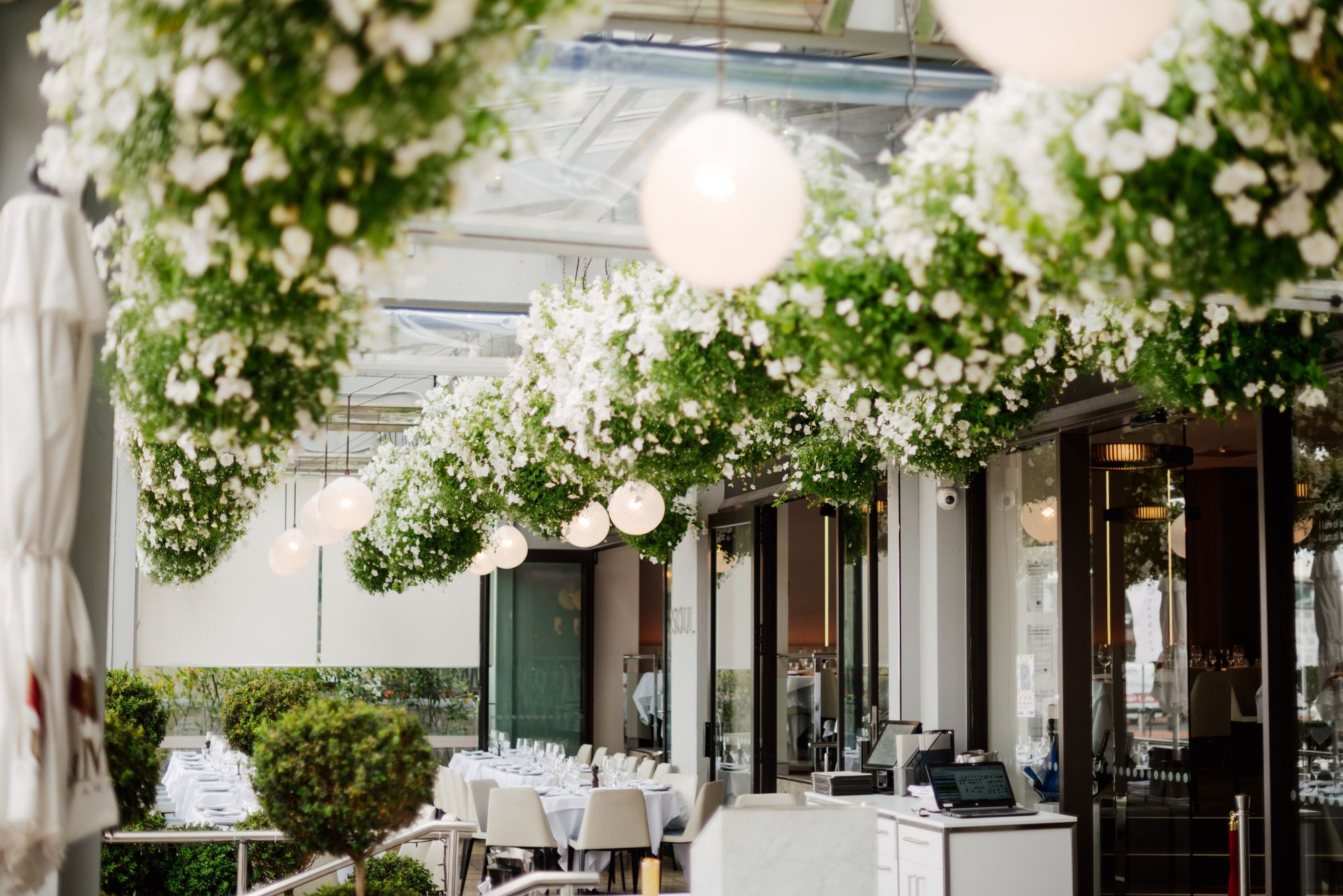 Biophilic Design Products | GreenAir - Auckland's Green Building Experts