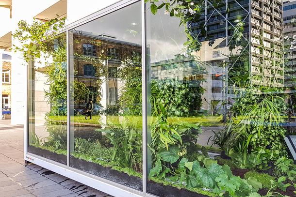 GreenAir Projects - Commercial Greenery Showcases in Auckland, NZ