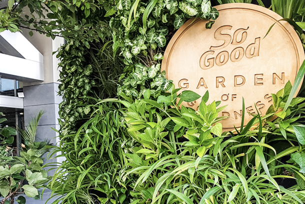 GreenAir Projects - Commercial Greenery Showcases in Auckland, NZ