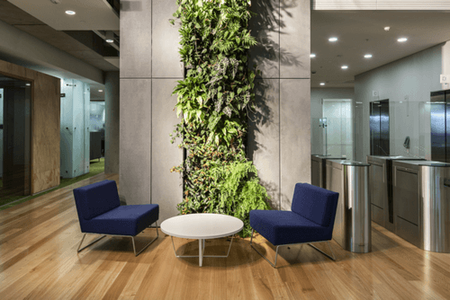 GreenAir Projects - Commercial Greenery Showcases in Auckland, NZ