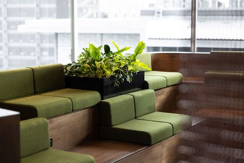 GreenAir Projects - Commercial Greenery Showcases in Auckland, NZ