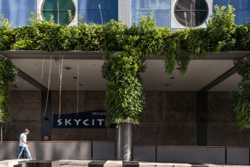 GreenAir Projects - Commercial Greenery Showcases in Auckland, NZ