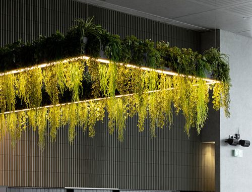 GreenAir Projects - Commercial Greenery Showcases in Auckland, NZ